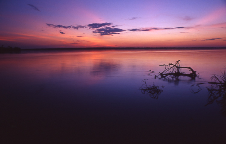 Cuenca Amazonas | La Red Cultural del Banco de la República